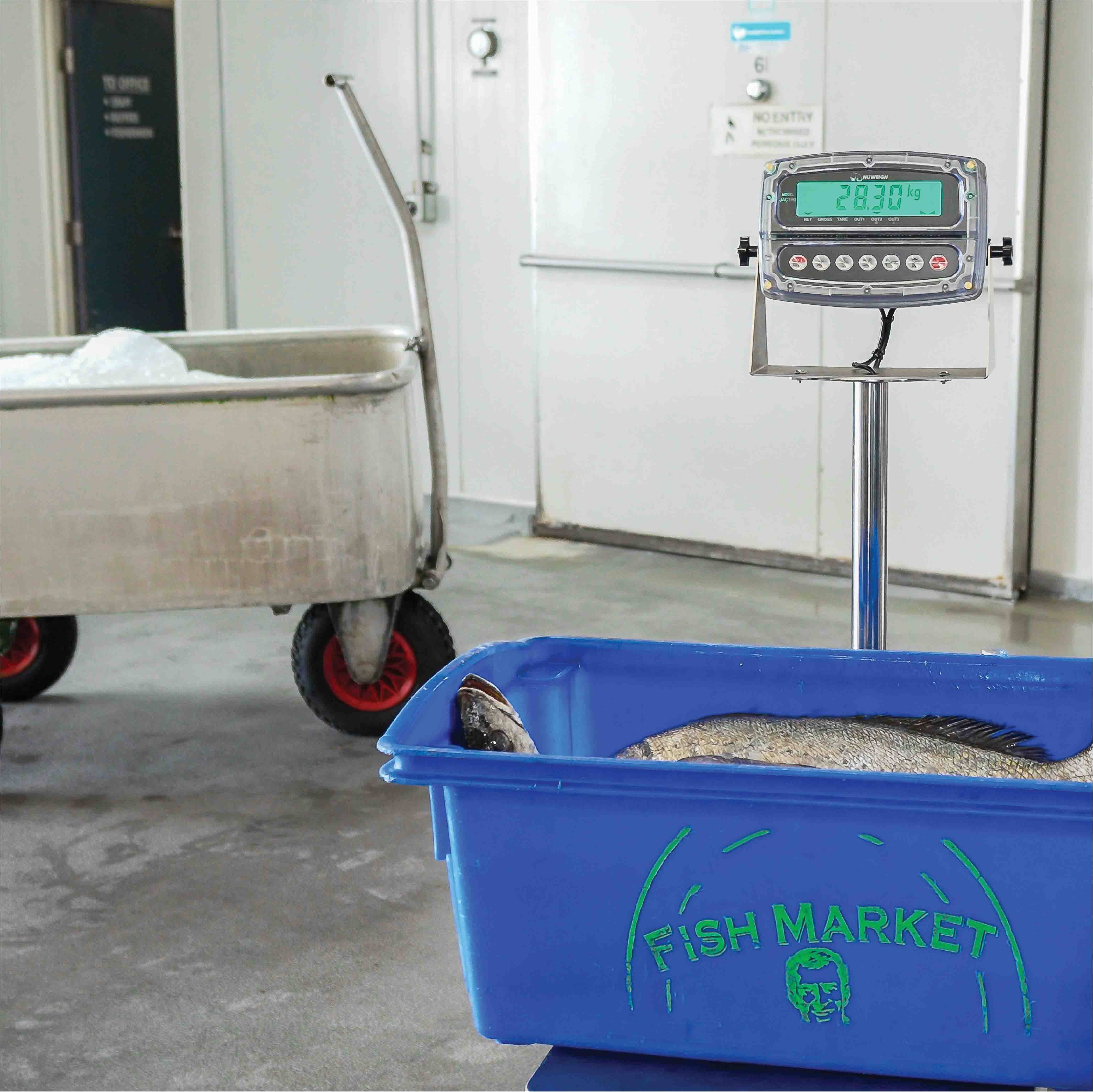 Waterproof Washdown Scales | Nuweigh