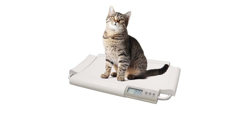 Animal, Livestock & Vet Scales | Nuweigh